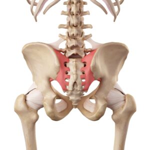 Sacroiliac (SI) Joint Fusion – The Spine Expert